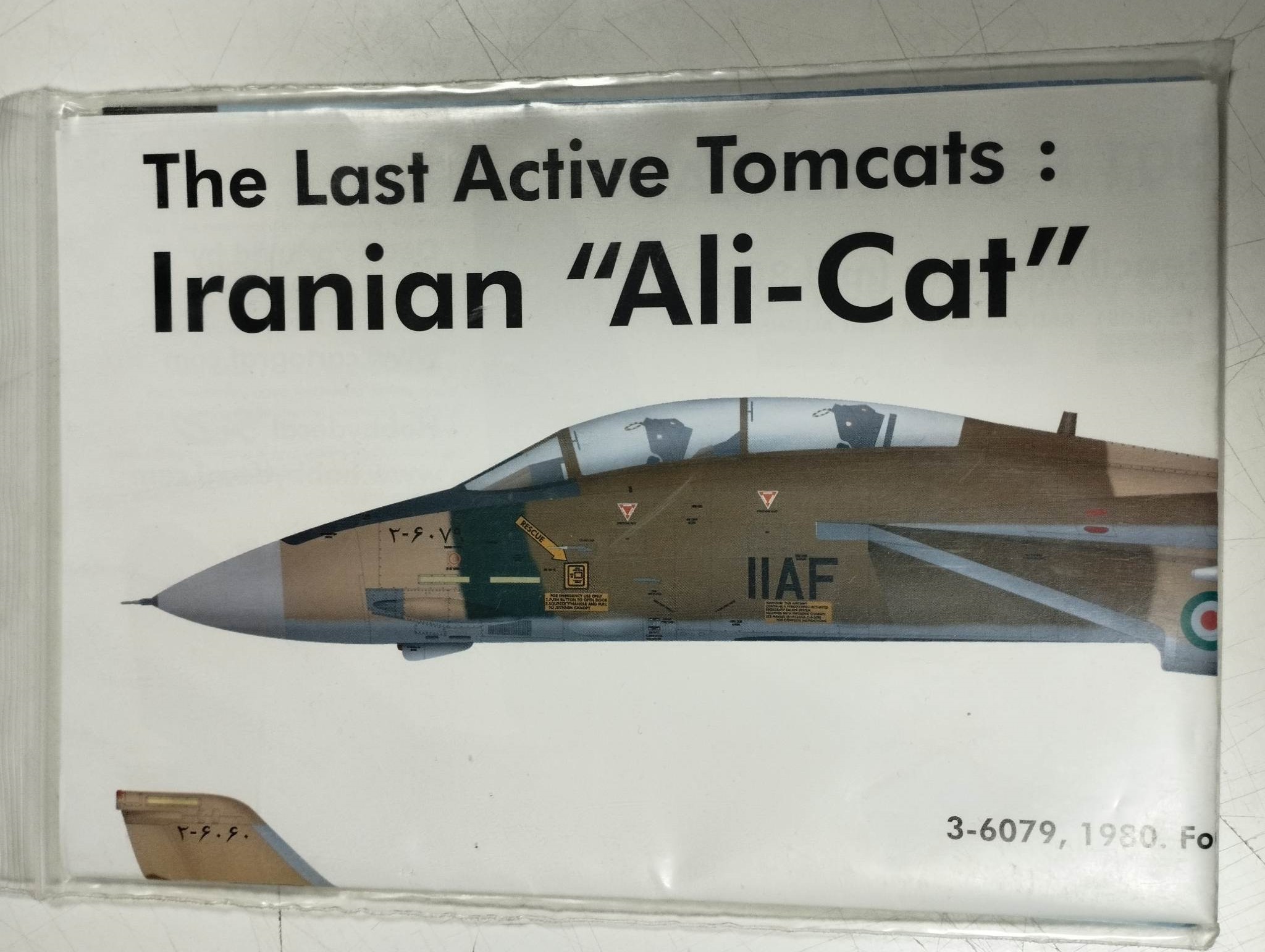 1:48 The last active Tomcat Iranian Ali-Cat