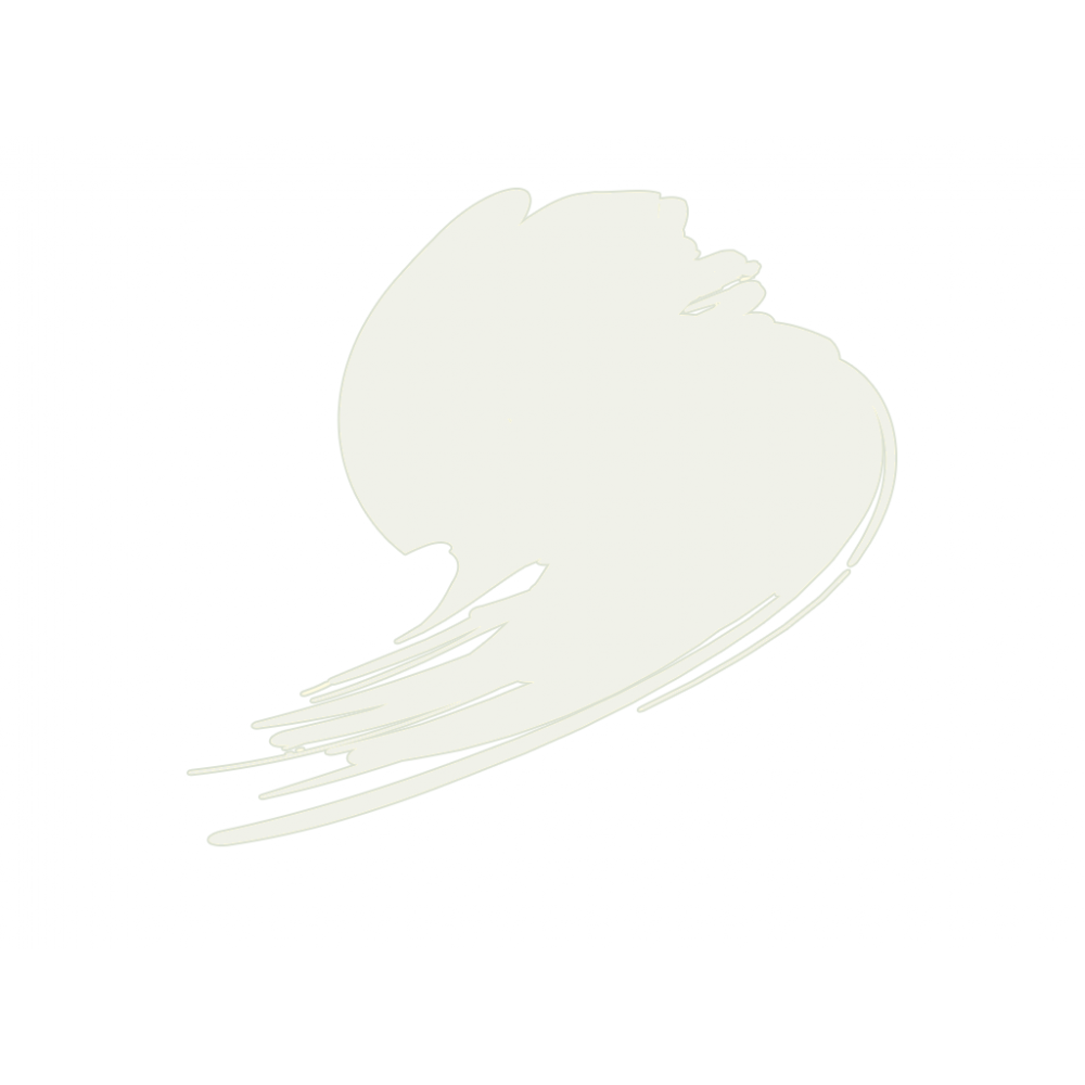 RAF Anti-Flash White